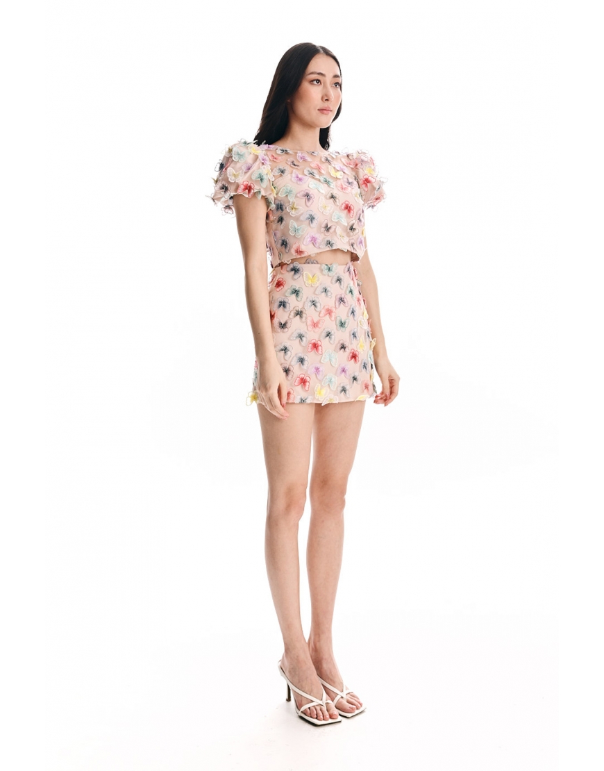 Papillon Set